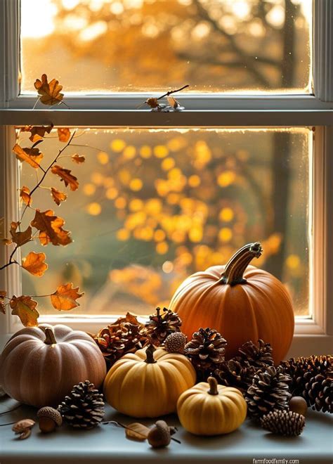 Image result for Fall Season Window Decorations