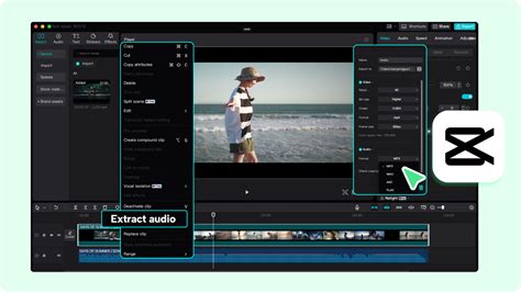 Image result for Extract Video Audio
