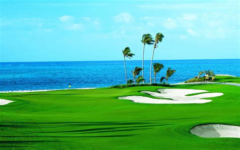 Image result for Golf Course Background 4K