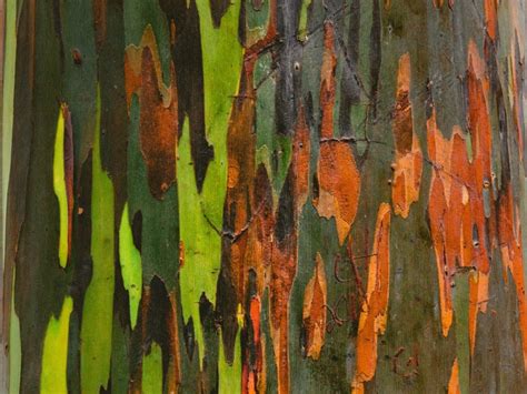 Free download | HD PNG stains paint rust texture surface 4k wallpaper ...