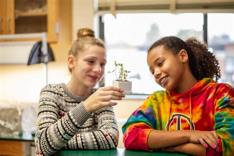 Image result for Random Selection in Classroom