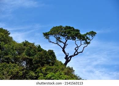 Image result for Slant Line Drawn