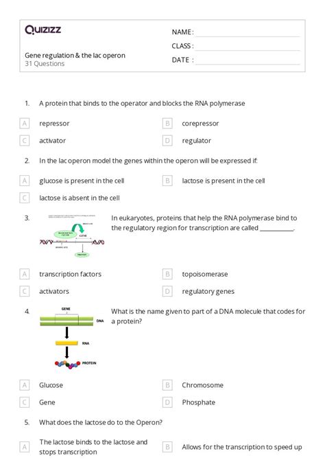 Image result for Lac Operon Worksheet