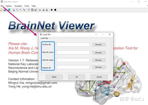 Image result for BrainNet Viewer Mapping File English