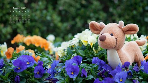 Image result for Hello Spring Computer Wallpaper