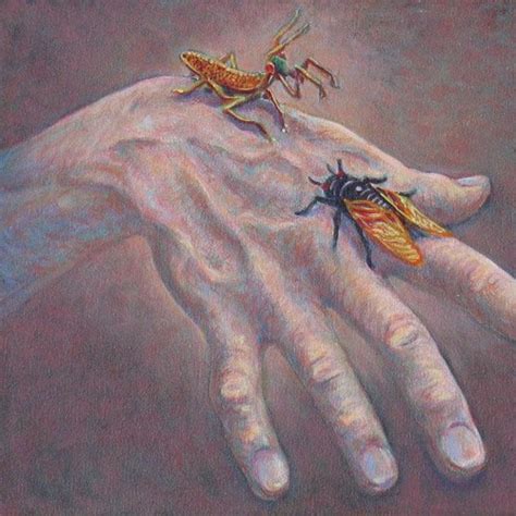 Image result for Insect Musicians