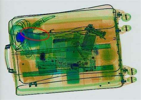 Image result for TSA Computer-based Test