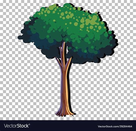 A tree isolated on transparent background Vector Image