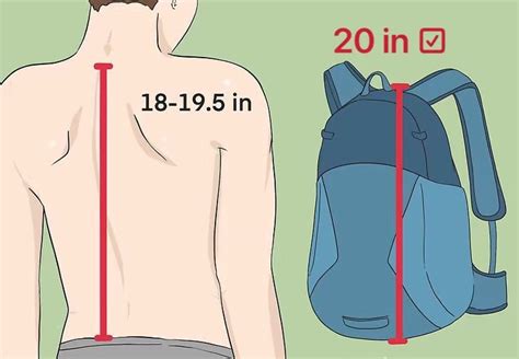Image result for Measuring Torso Length for Backpack
