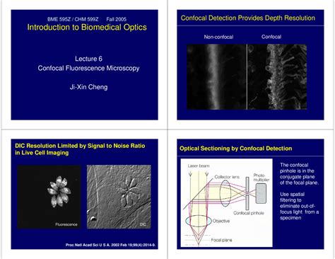 Image result for Confocal Microscopy Tutorial