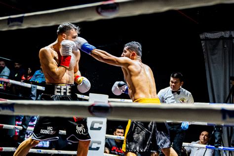 Image result for Boxing Punch Combinations