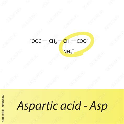 Image result for ASP Structure