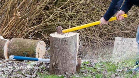 Image result for Split Log Rusti