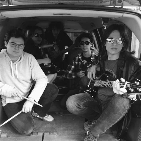 Image result for Arctic Python