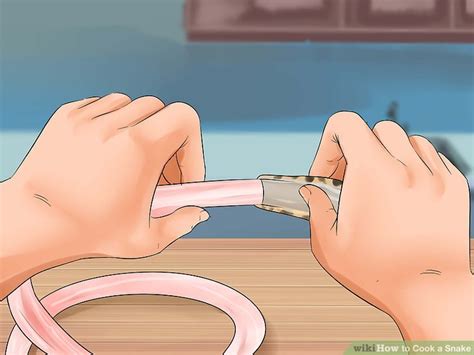 Image result for Cooking Snake