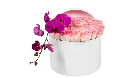 Image result for Gifts for Bride in Kuwait