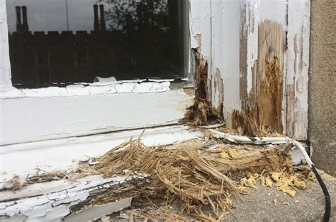 Image result for Splice Timber Repairs