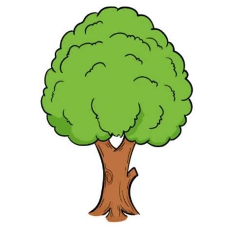 Image result for Tree Image TP Draw
