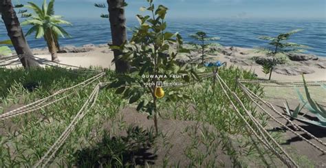 Image result for Stranded Deep Freshwater
