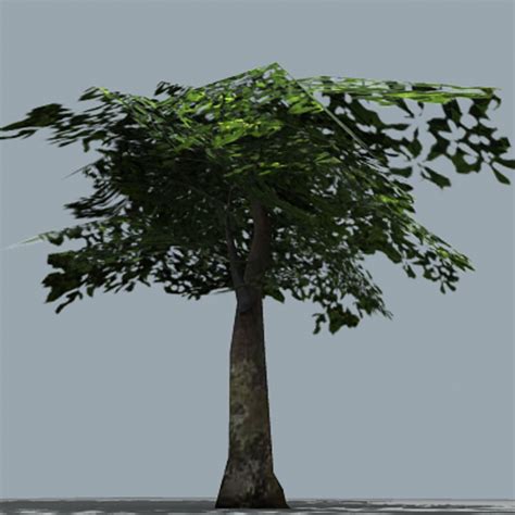 Image result for Tree Texture Maya