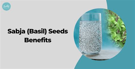 11 Health Benefits of Sabja Seeds (Basil Seeds) | Livofy