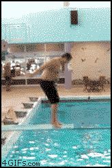 diving fail gif | WiffleGif