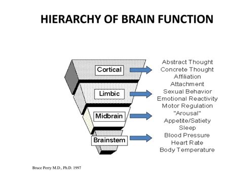 Image result for Developmental Trauma Bruce Perry