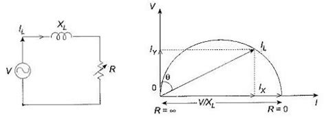 Image result for Locus Examples