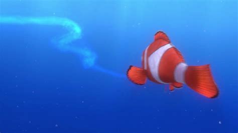 Image result for Finding Nemo Australian Current