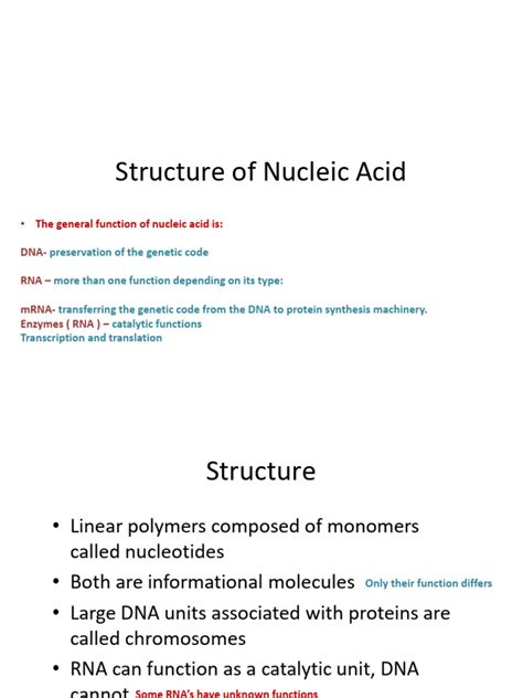 Image result for Nucleic Acid Chemical Structure