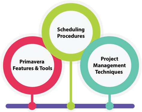 Image result for Primavera Certification