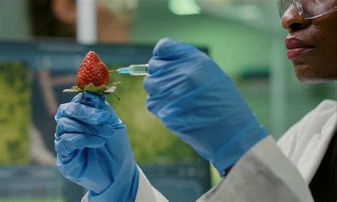 Natural Sciences