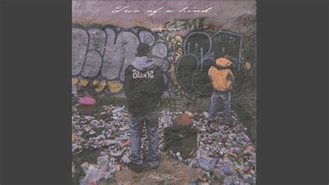 Image result for Video Con D