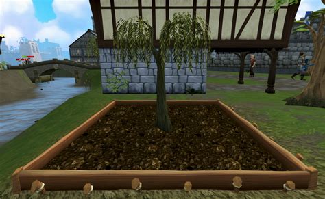 Image result for Willow Tree Rust