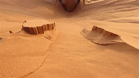 Sahara Sand Viper GIFs - Get the best GIF on GIPHY
