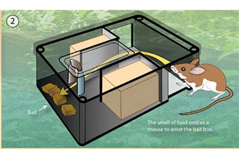 Image result for Tick Control Services Tick Box