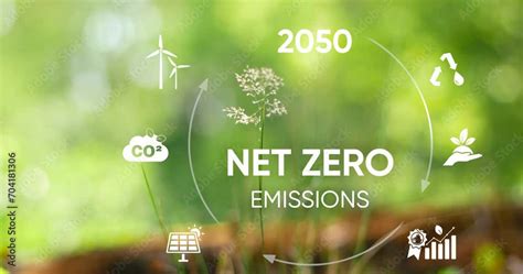 Image result for Zero Net Carbon Explained