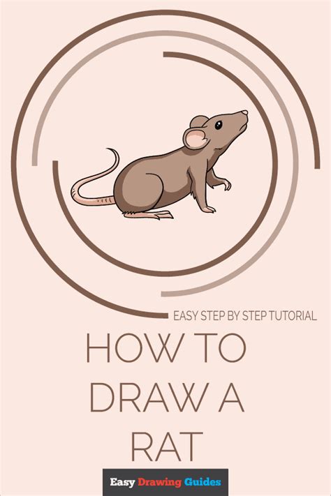 Image result for Rat Drawing Tutorial