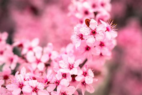 Image result for State Refund