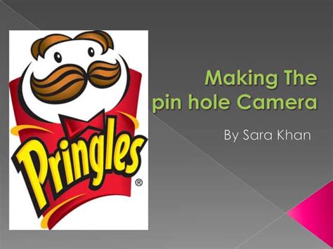 Image result for Pin Pin Hole Camera Project