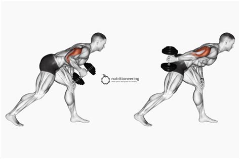 Image result for Push Back Exercise