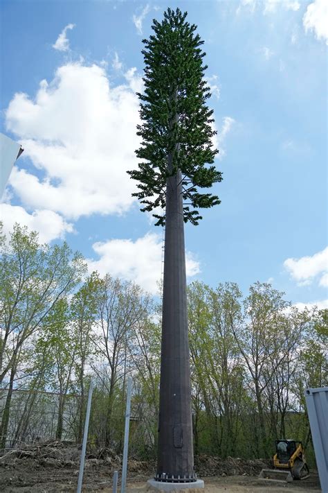 Image result for Fake Tree Cell Tower