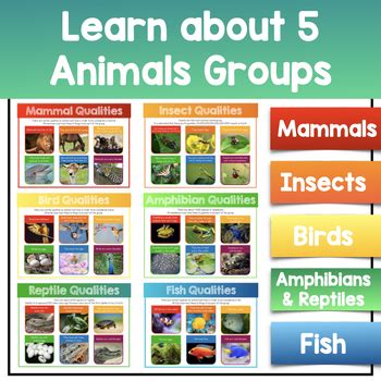 Image result for Class Classification Examples