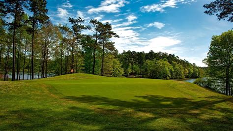 Image result for Local Golf Courses Open