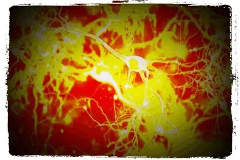 Image result for Tensorflow Tensor