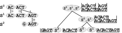 Image result for Progressive Sequence Alignment