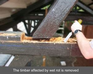 Image result for Splice Timber Repairs