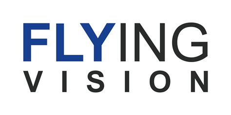 Image result for Vision Flying
