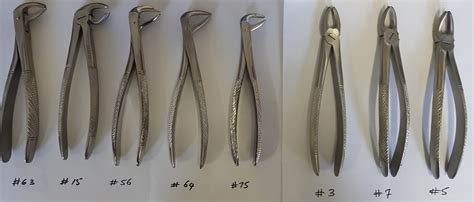 Image result for Extraction Forceps