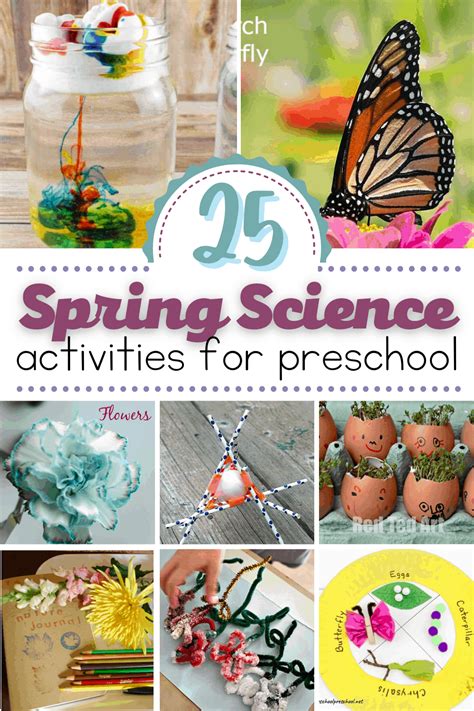 Image result for Spring Experiment